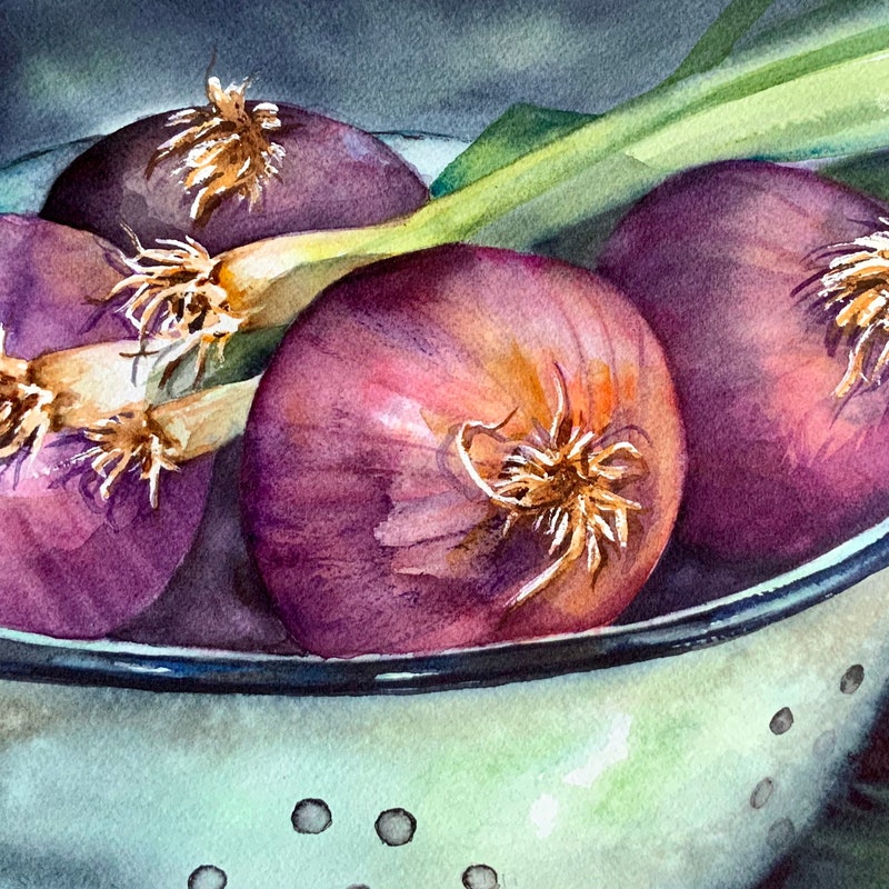 Onions Still Life - Etsy