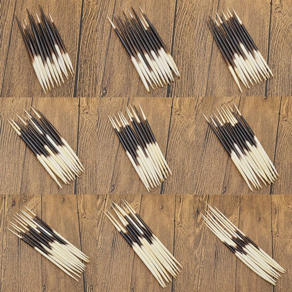 African Porcupine Quills