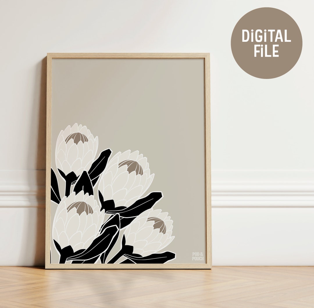 Protea Australian Flower Print: Educational Plant Flora Poster - Etsy