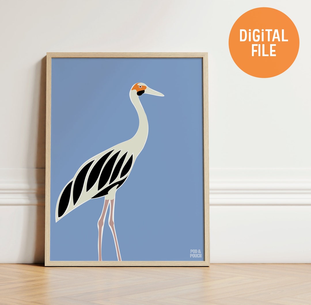 Brolga Australian Animal Print: Educational Wildlife Poster - Etsy