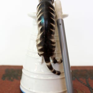 Antique 19th Century Porcelain Pitcher With Climbing Cat Handle, White ...