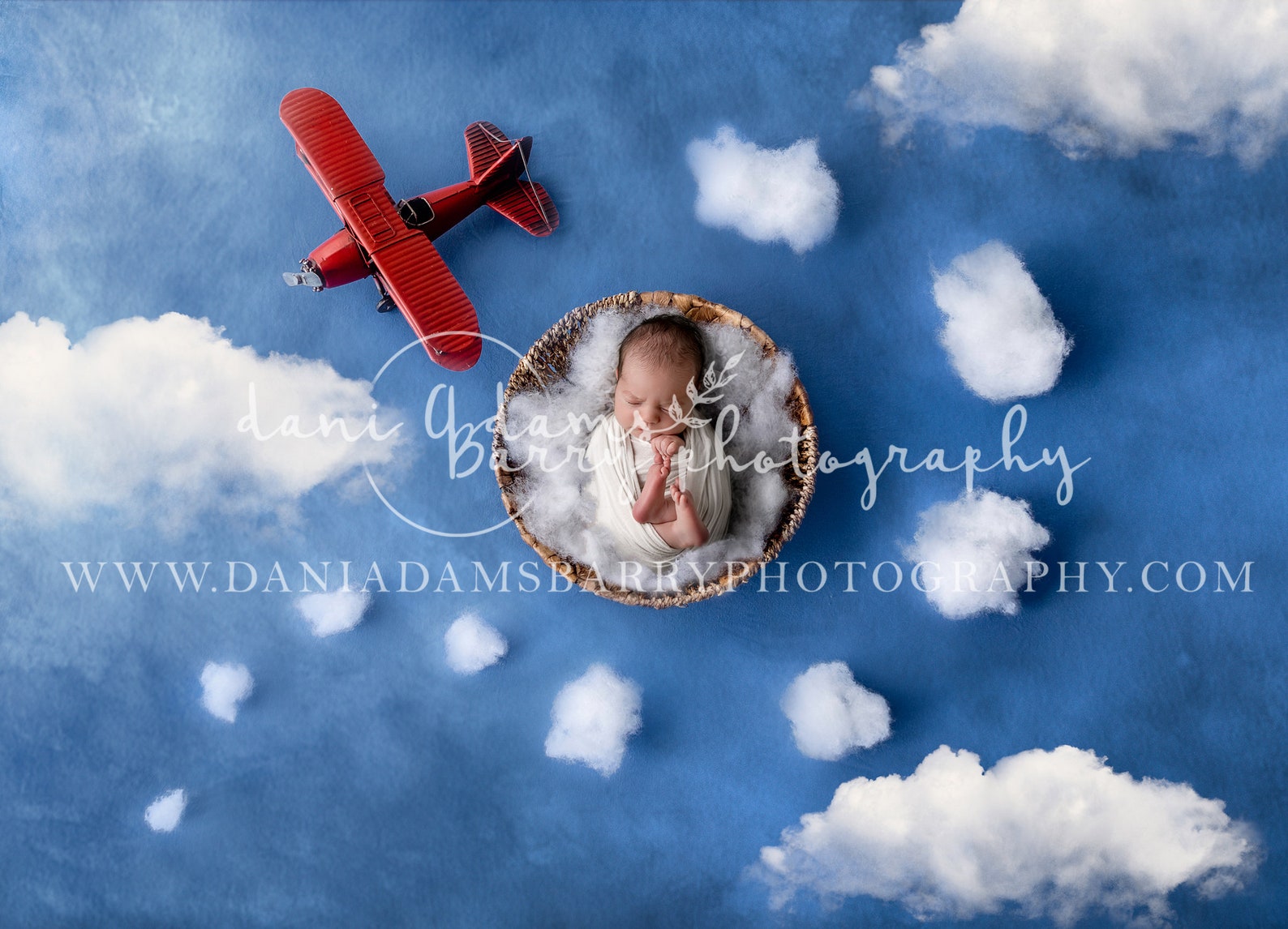 Newborn Airplane Digital Backdrop: Blue Cloud Plane (digital Download ...