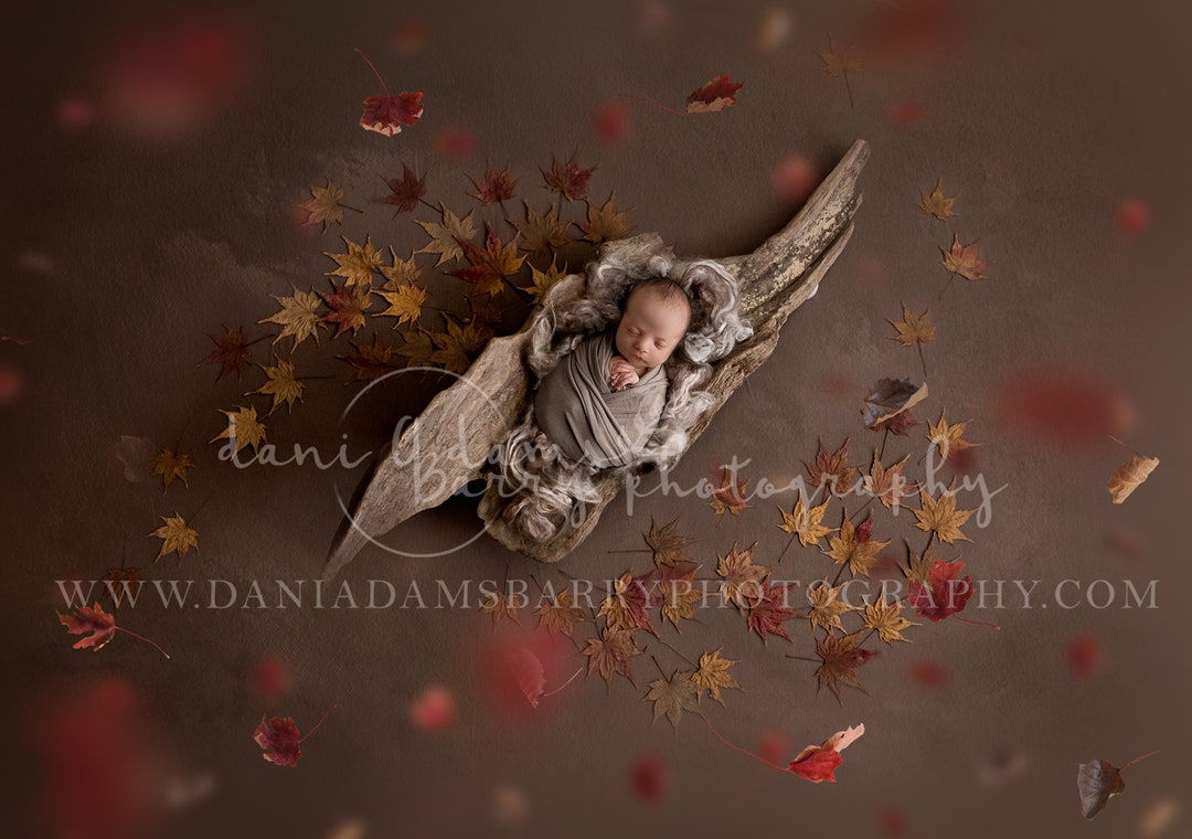 Fall Leaves Newborn Digital Background / 2 Autumn Newborn Digital ...