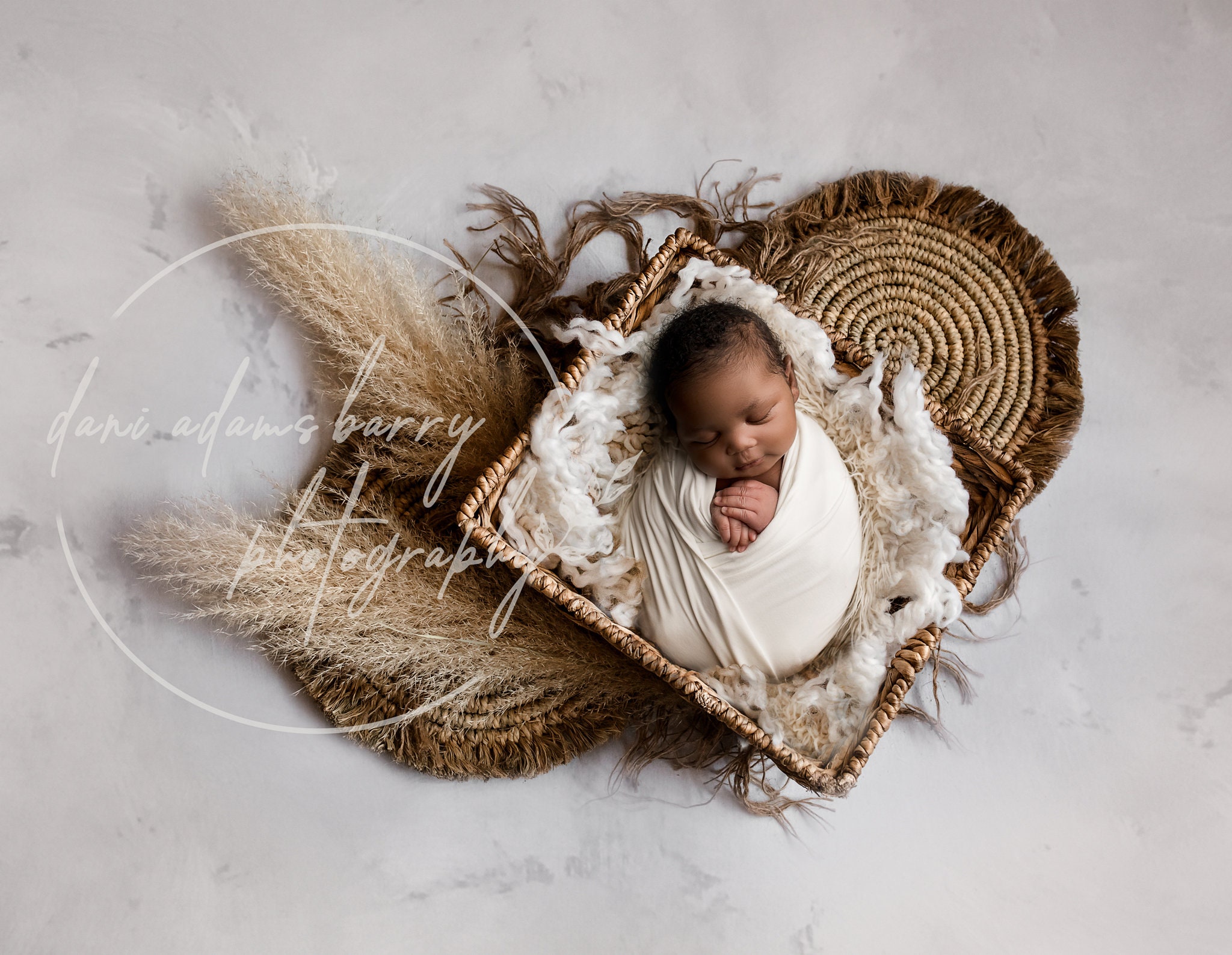 Boho Digital Newborn Background Pampas Grass/ Boho Boy Newborn - Etsy