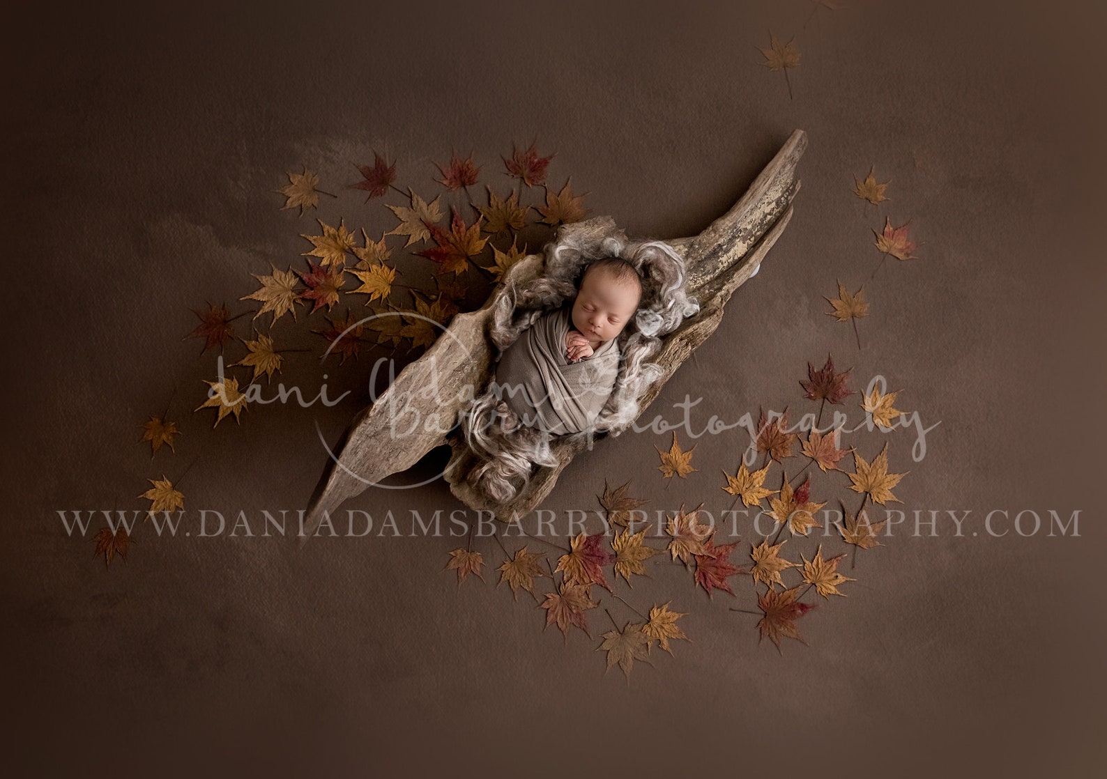 Fall Leaves Newborn Digital Background / 2 Autumn Newborn - Etsy