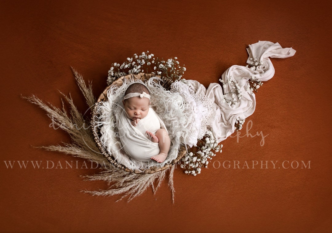 Boho Floral Digital Newborn Background / Rust Cream Newborn Digital ...