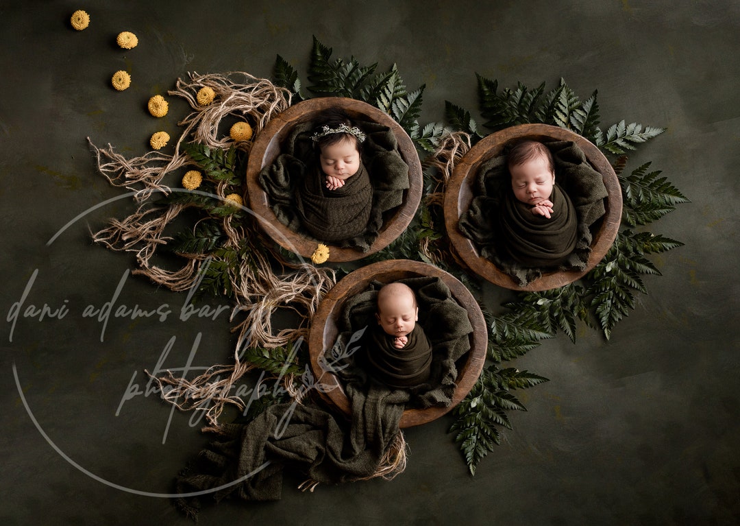Triplet Newborn Digital Background / Painterly Newborn Digital Backdrop ...
