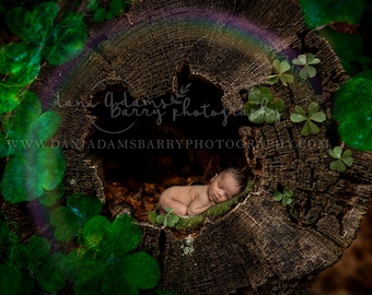 Newborn Digital Backdrop Background Ireland Luck Irish Shamrock Clover ...