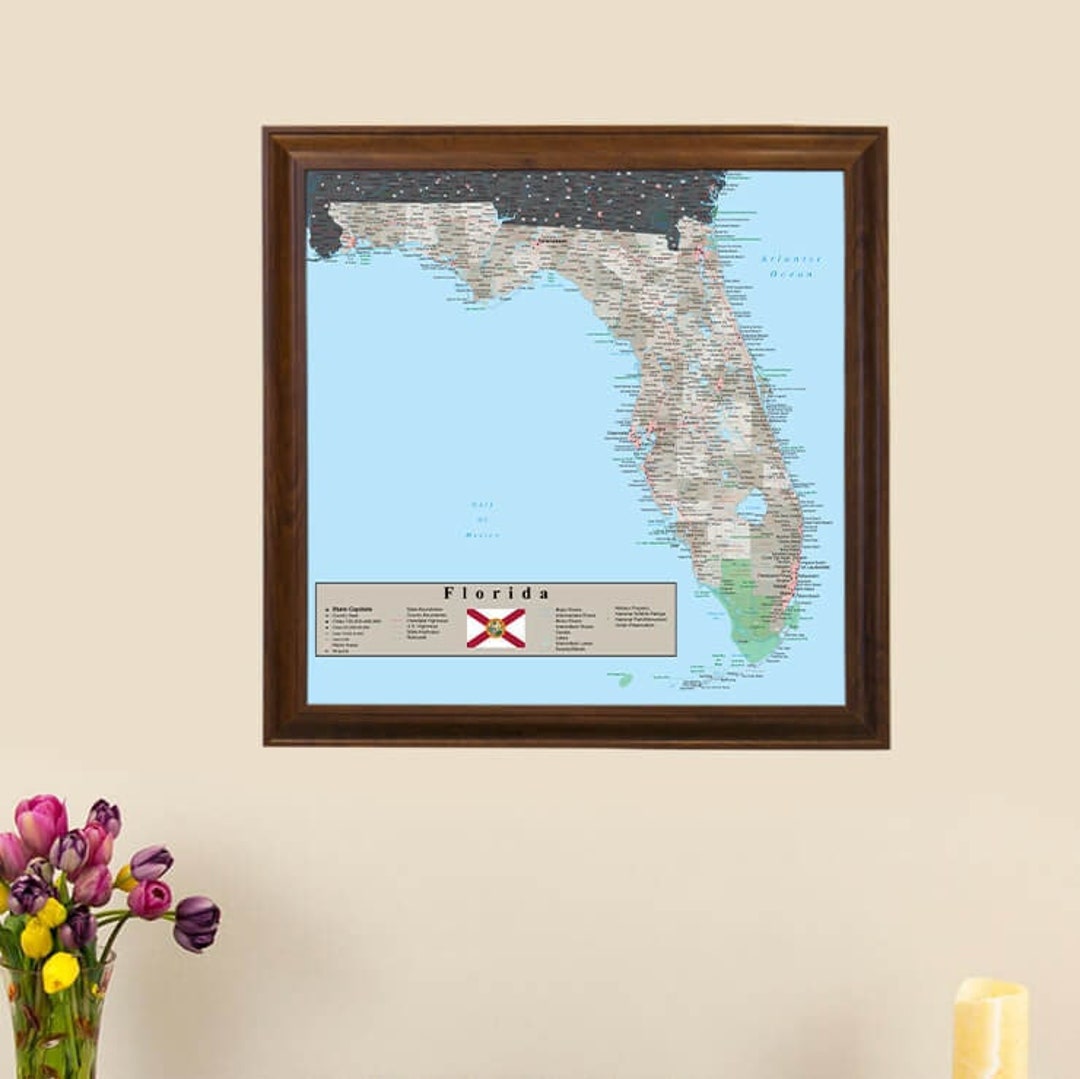 Personalized Earth Toned Florida State Wall Map - Push Pin Travel Map ...