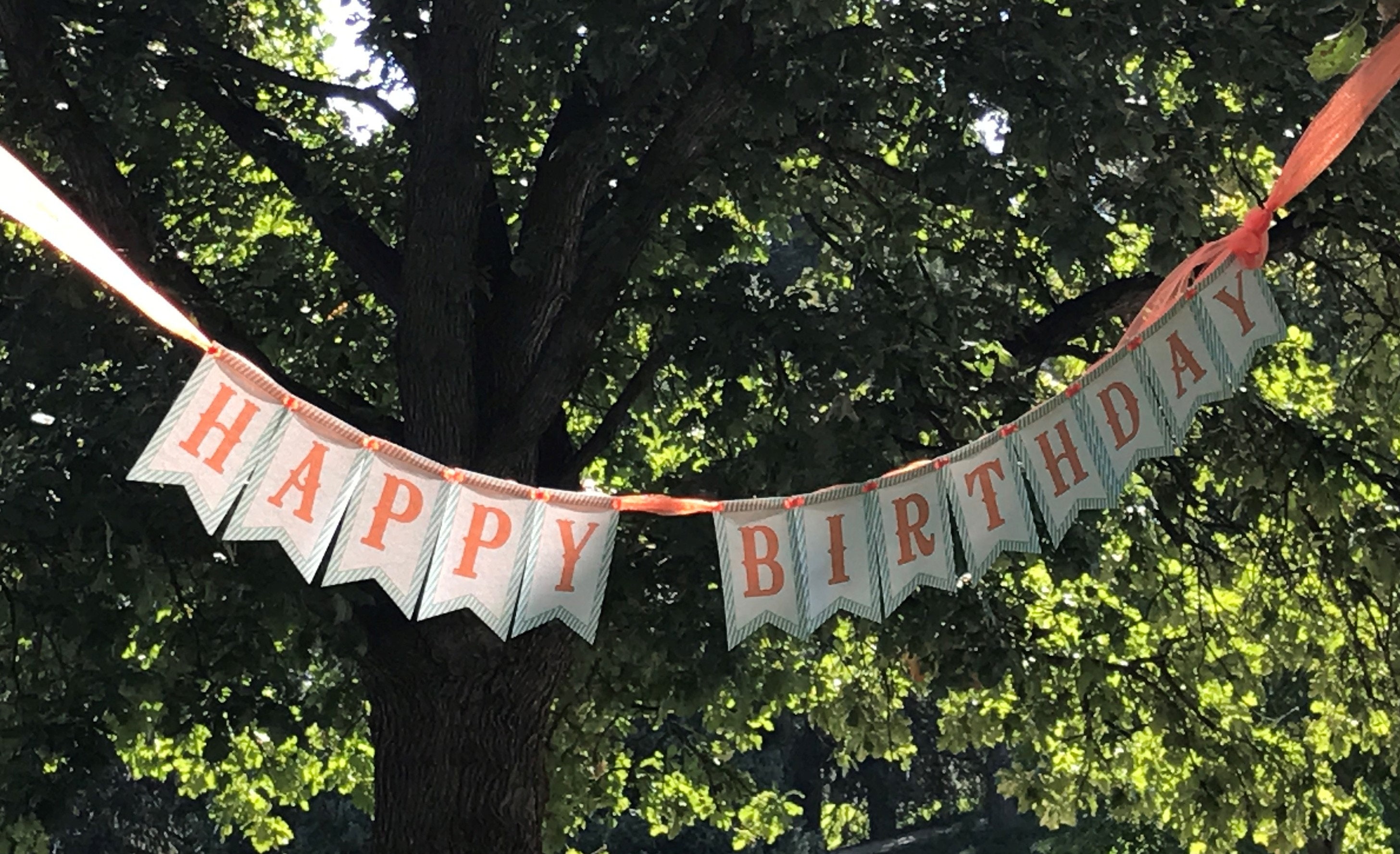 FiELD DAY BACKYARD GAMES SuMMER // School Birthday | Etsy