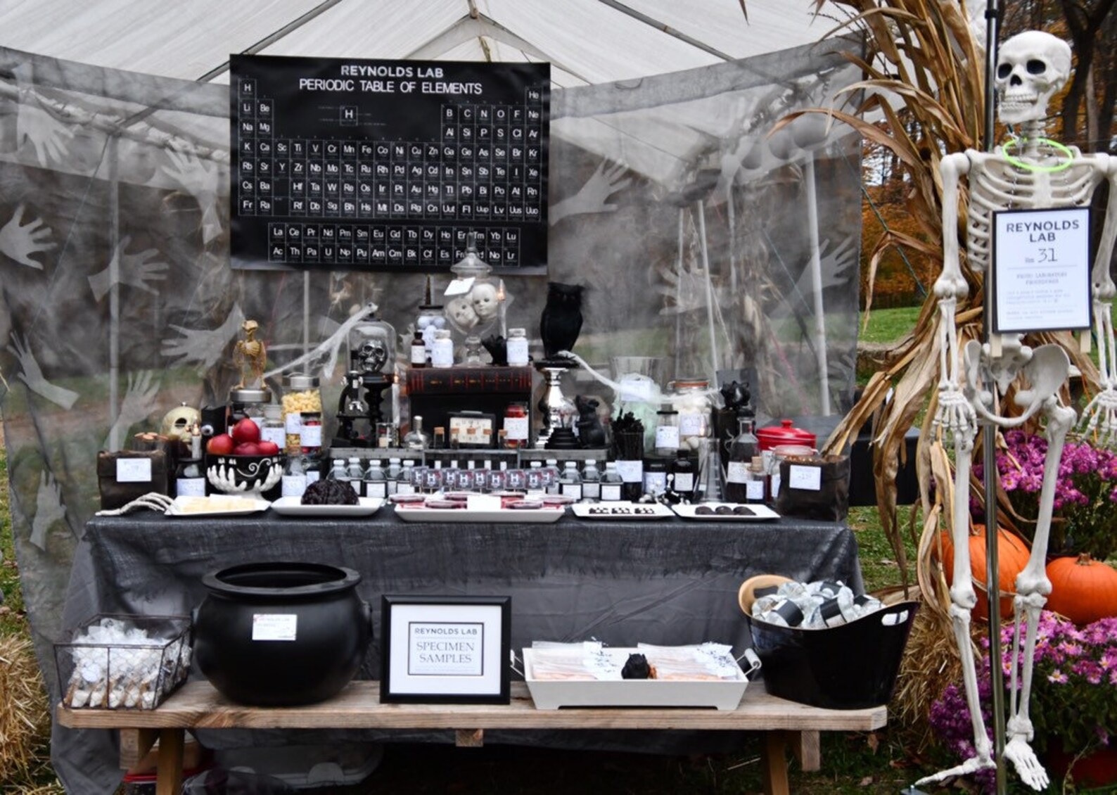 SCIENCE LAB Periodic Table of Elements Atoms Test Tube - Etsy