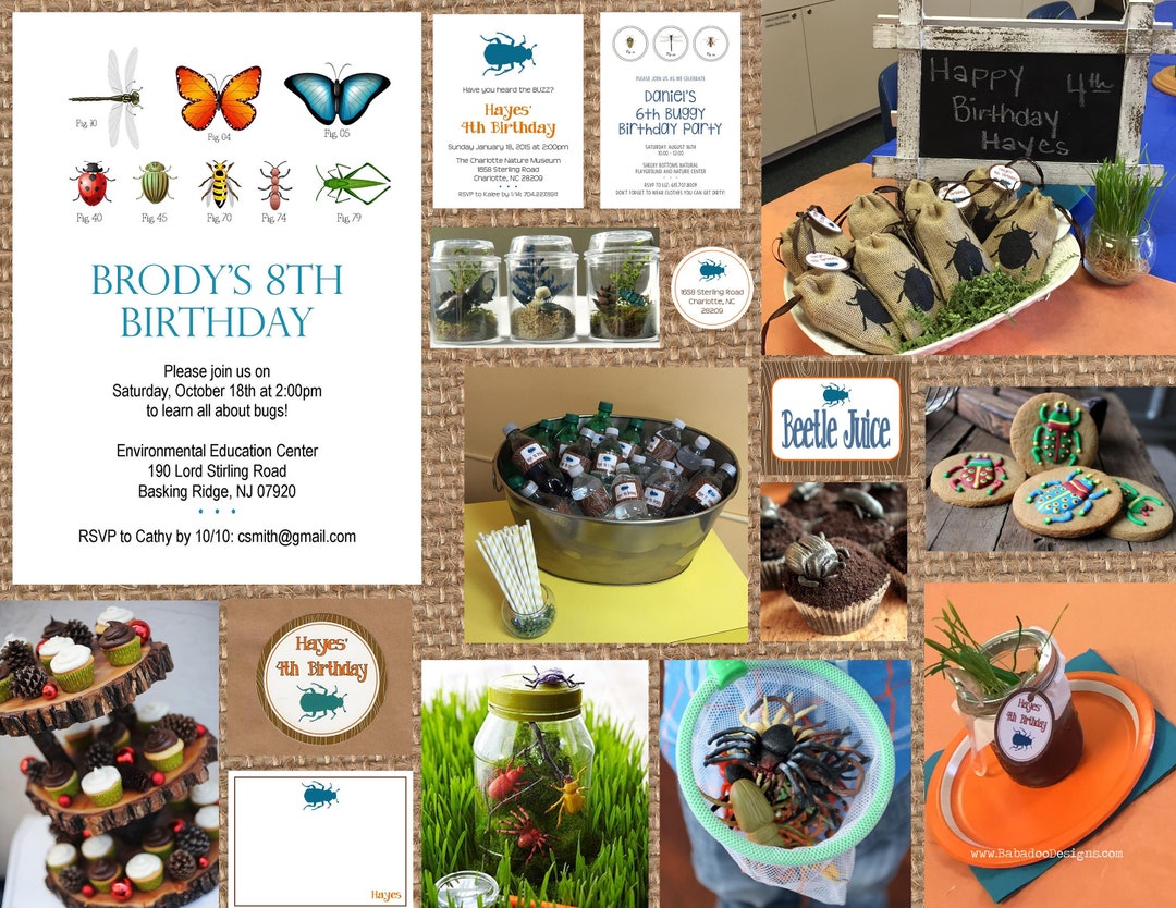 INSECT BUGS BEETLE Nature Specimen // Birthday Baby - Etsy