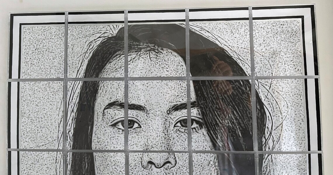 Original Mitski CD Case Pop Art 24.125"x28" - Etsy