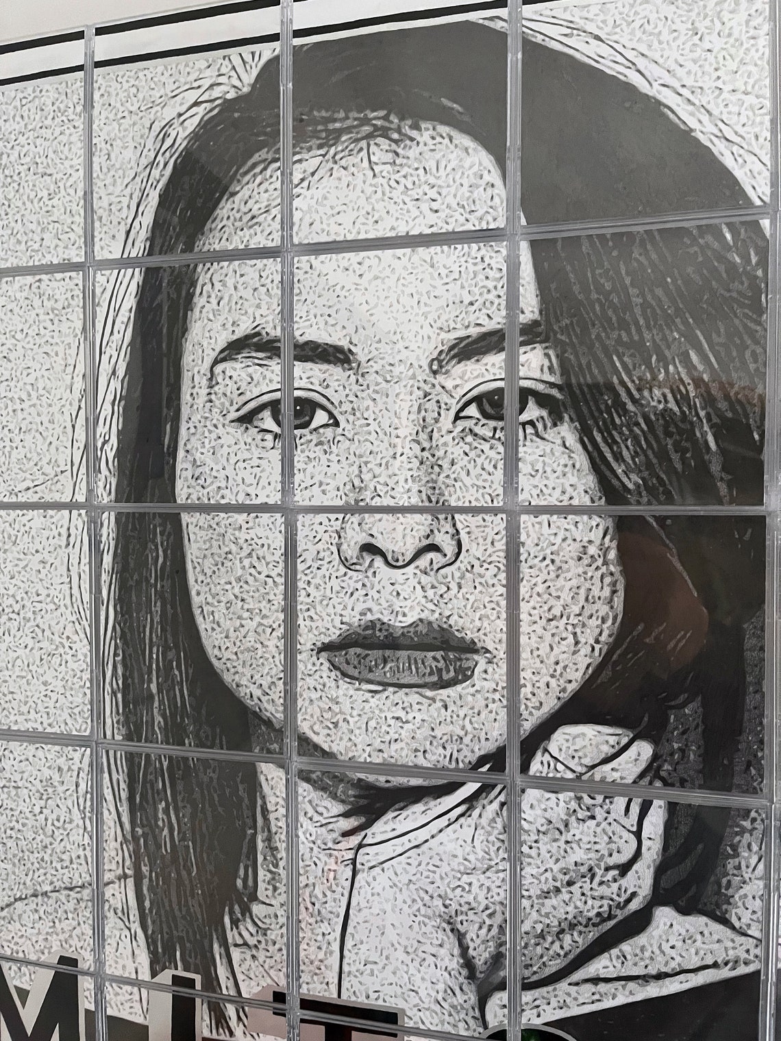 Original Mitski CD Case Pop Art 24.125"x28" - Etsy