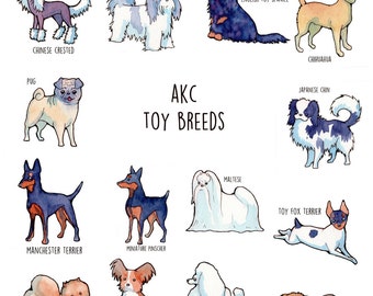 All AKC dog breeds poster