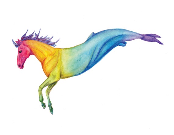 Rainbow The Hippocampus