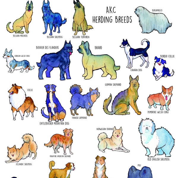 Dog Breed Poster - Etsy