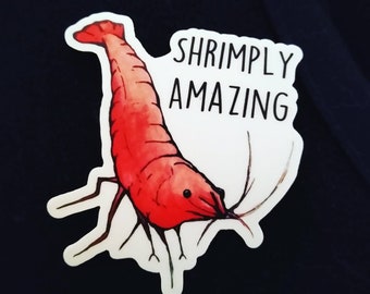 Shrimply Amazing - Etsy