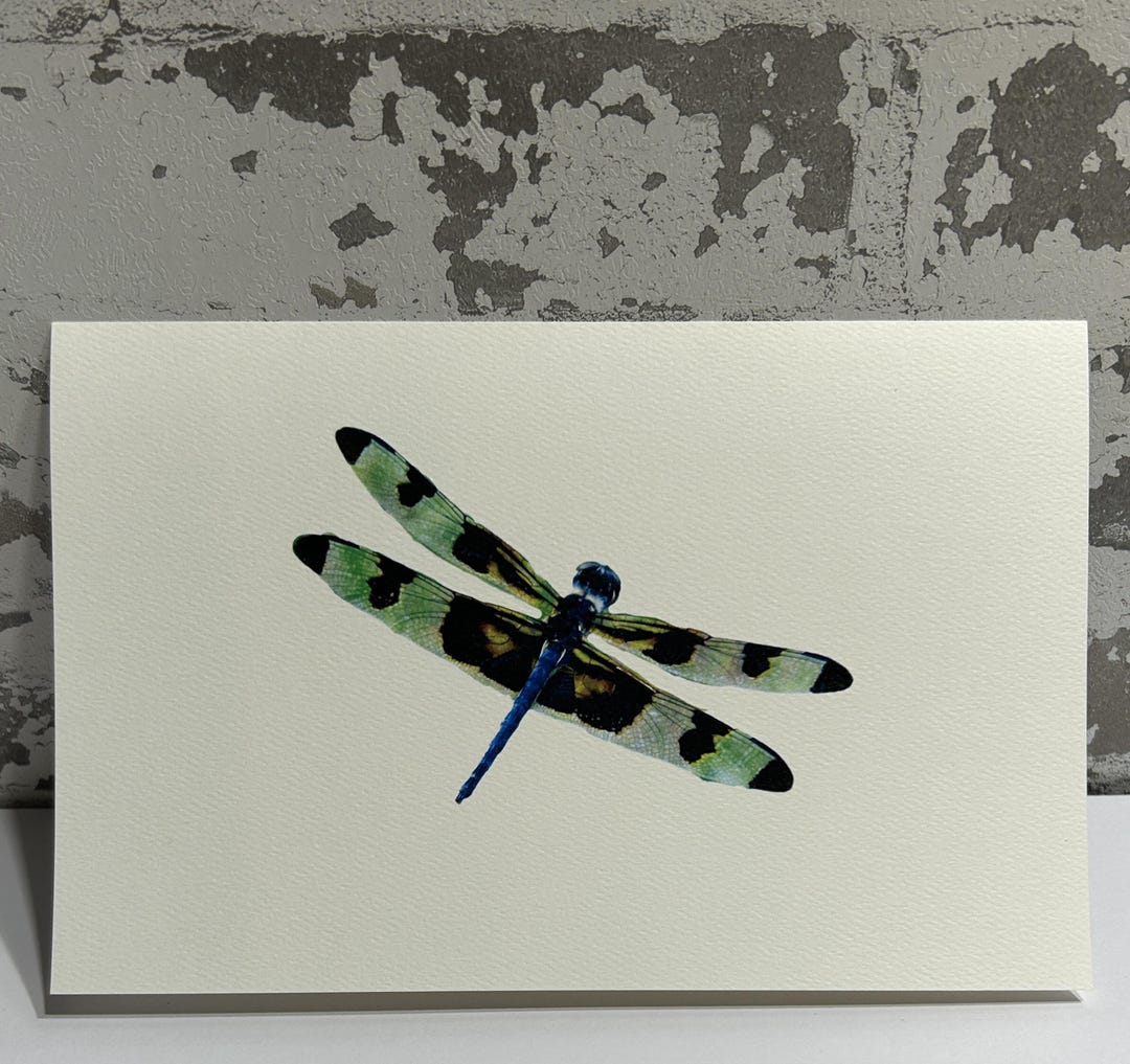 Sleek Minimalist Dragonfly Card | Instant Download PDF | Customizable ...