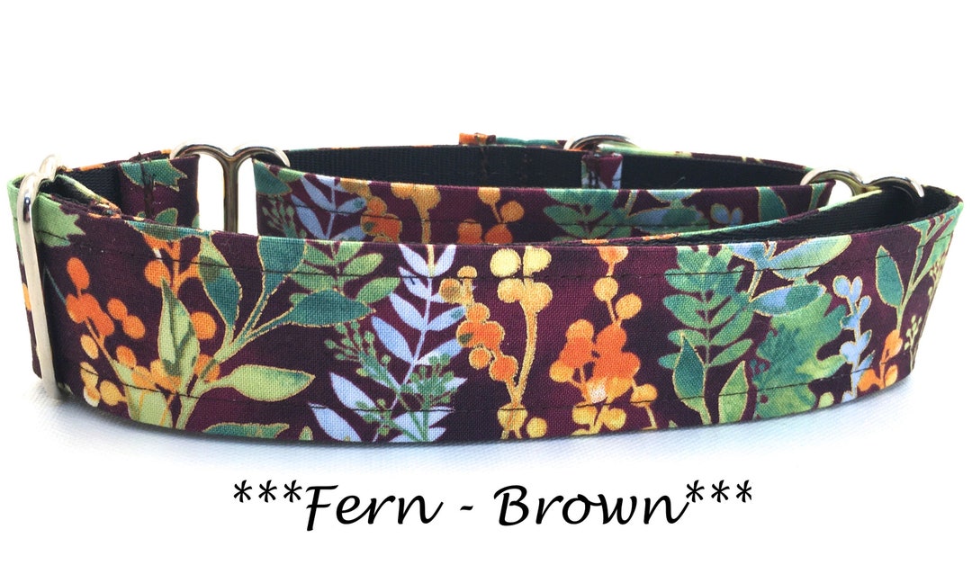 Martingale Dog Collar, Fern Buckle Dog Collar, Fern Martingale, Fern ...
