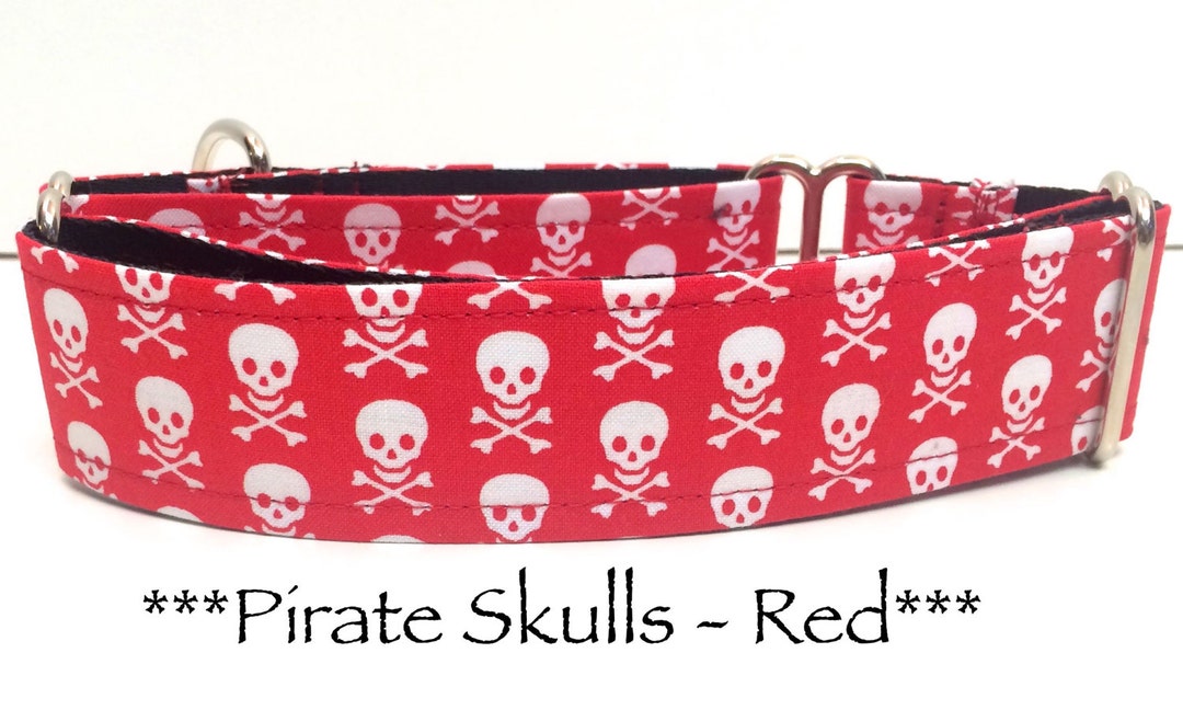 Martingale Dog Collar, Pirate Skull Dog Collar, Pirate Skull Martingale ...