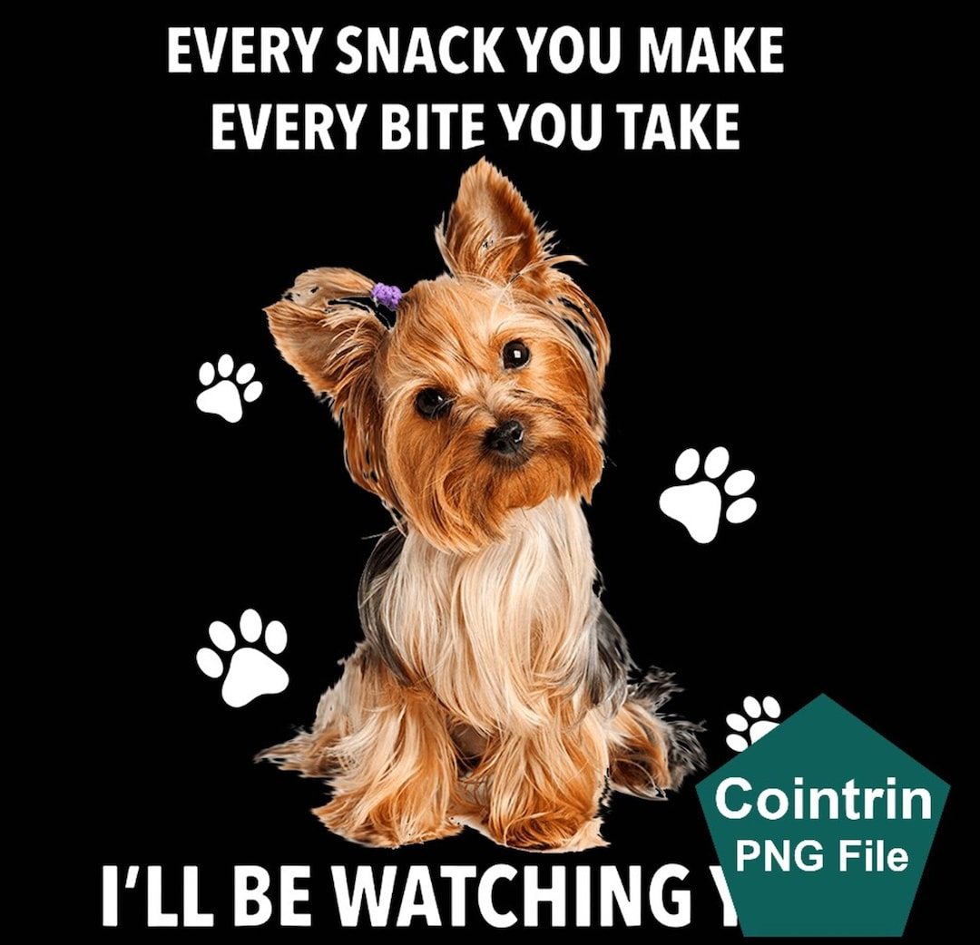 Yorkshire Terrier Funny Meme Every Snack Png File I'll Be - Etsy