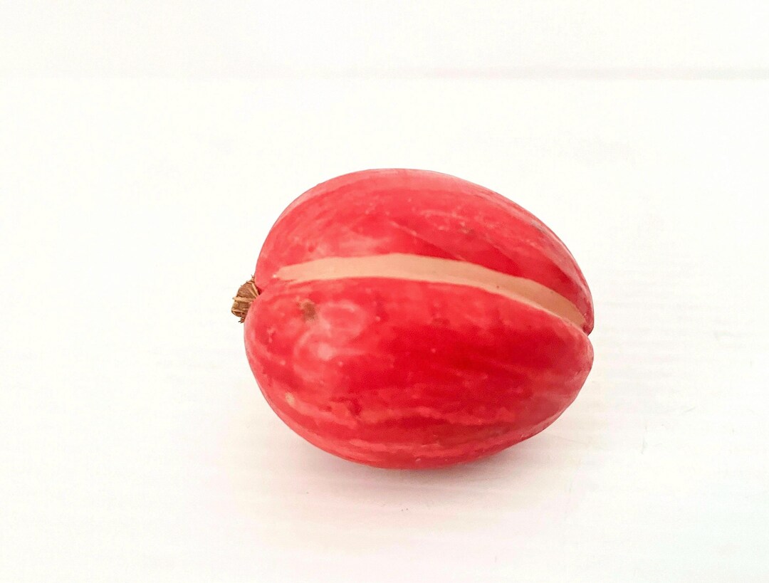 Vintage Stone Fruit Red Plum Ripe Wood Stem Marble Alabaster Italy - Etsy