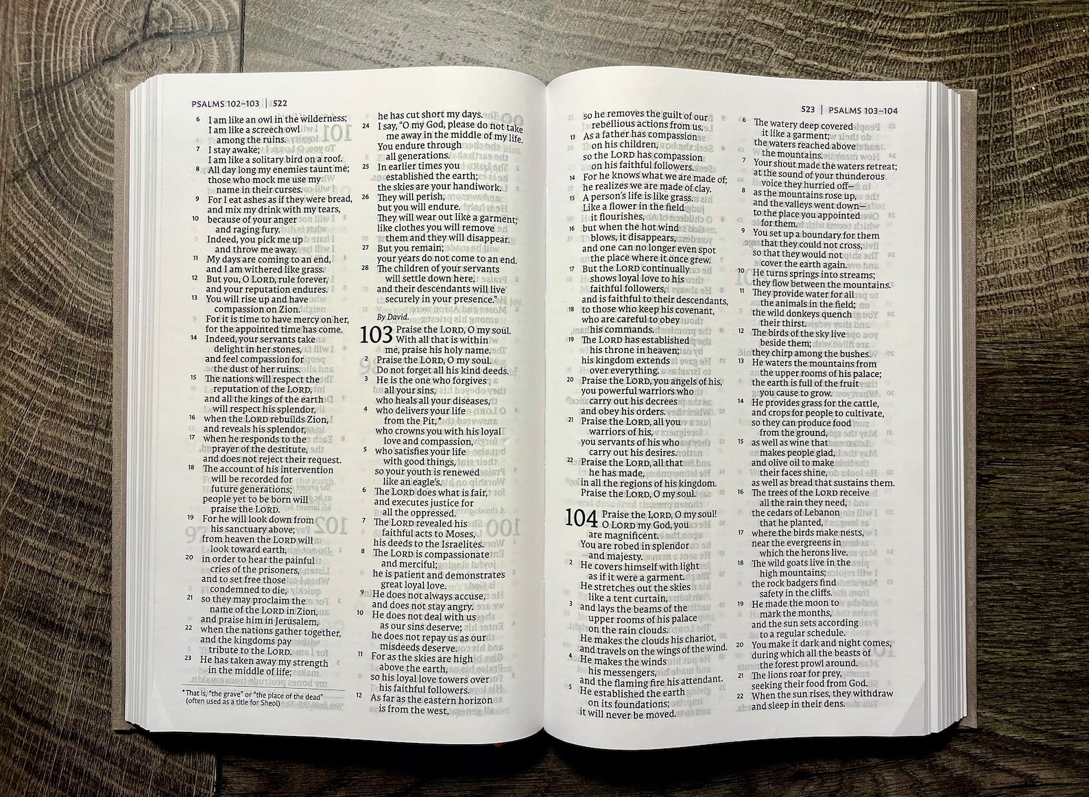 Custom Hand Painted Bibles, Confirmation Baptism Gift, Guestbook Bible ...