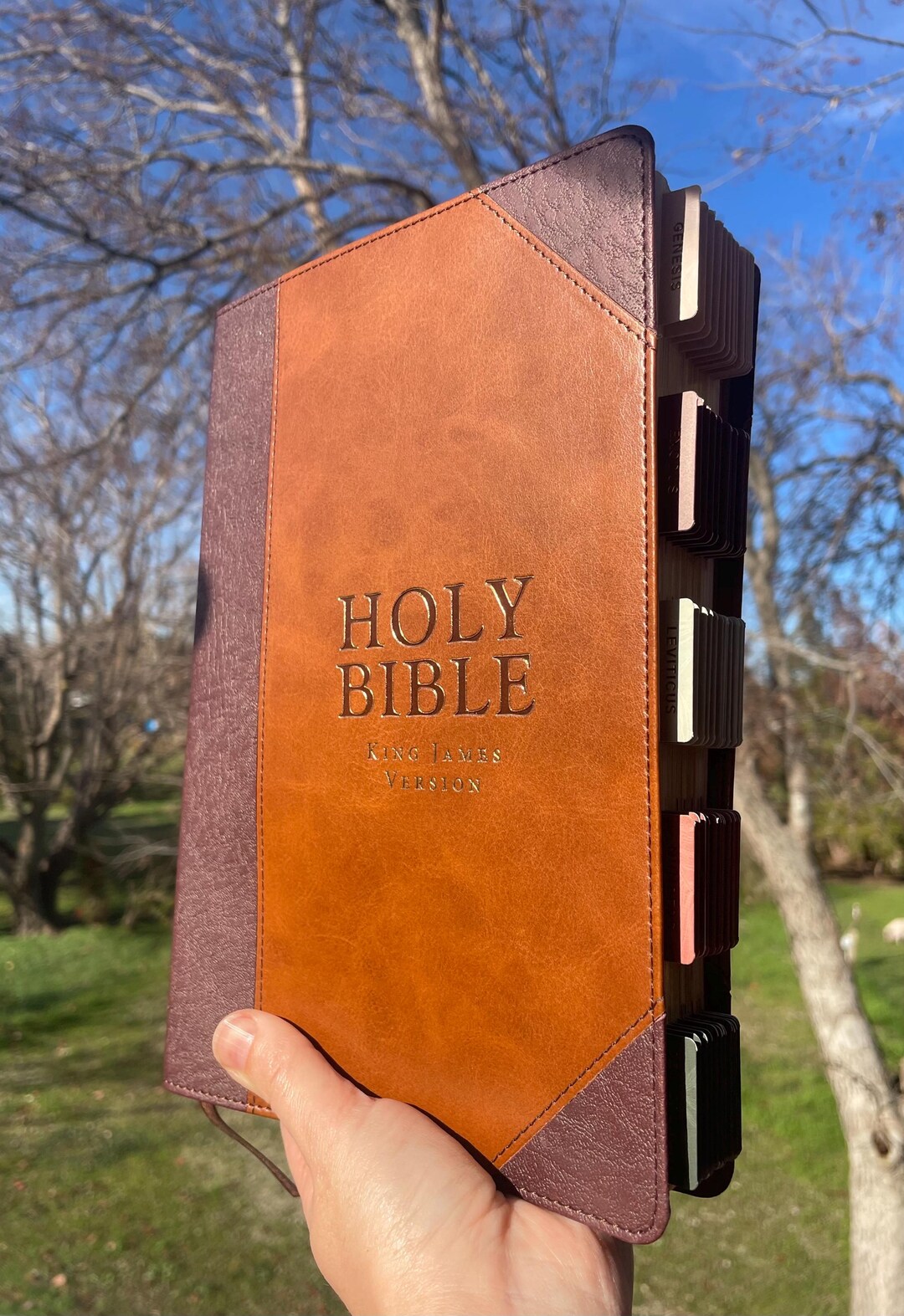 Beautiful Tabbed KJV Bible, Soft Cover, Large Print KJV Bible With Tabs ...