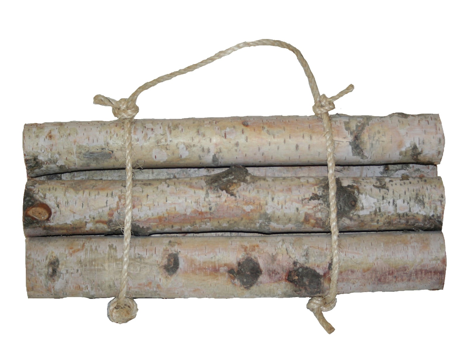 Roped Bundle of Birch Logs: 1.5 2.5 Diameter X - Etsy