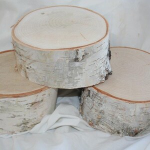 Birch Base- Set of 3 - Etsy