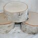Birch Base- Set of 3 - Etsy