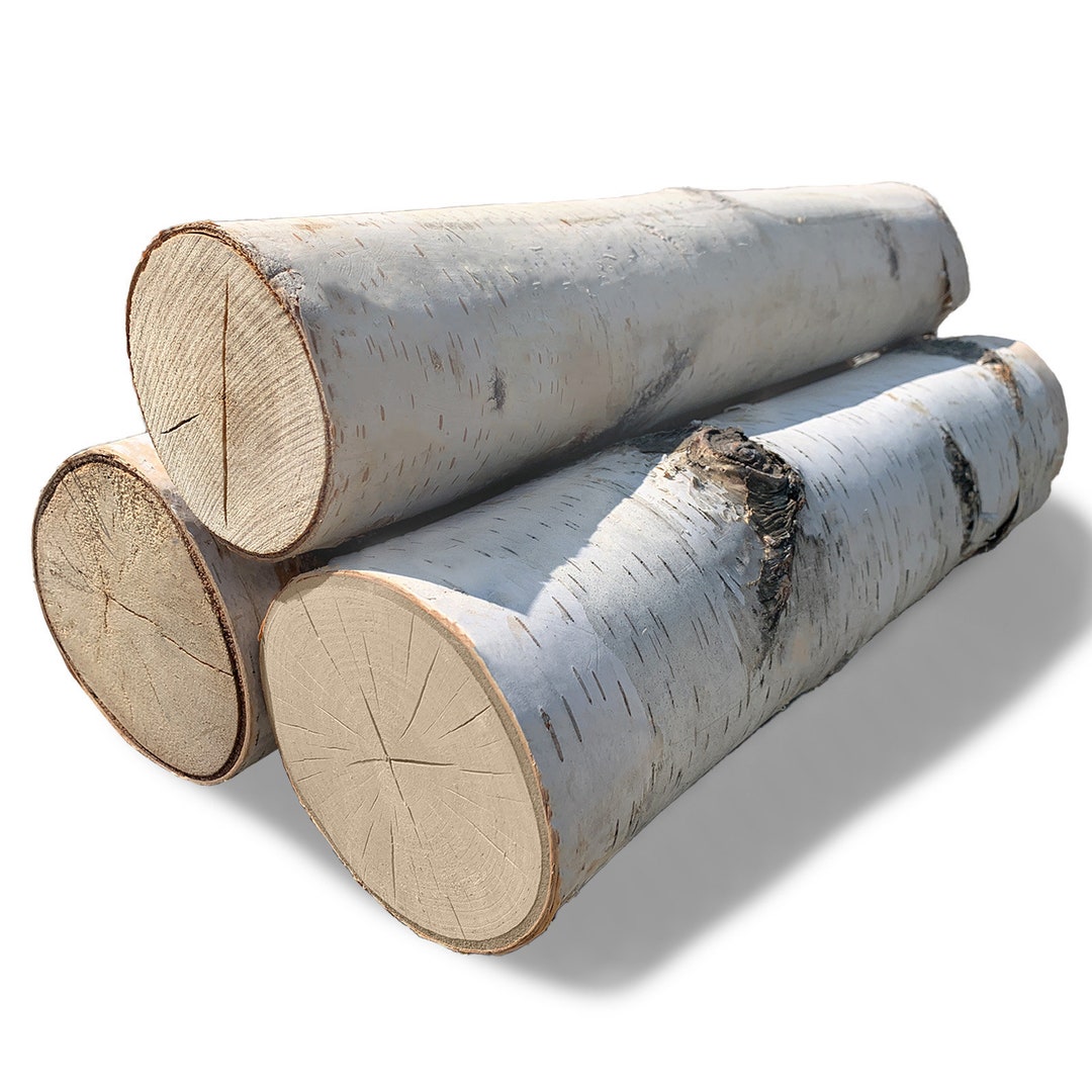 Wilson Set of 3 Large Birch Fireplace Logs (3.5" - 5.5" Diameter X 15.5 ...