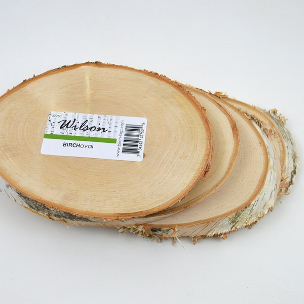 Birch Tree Slice - Etsy