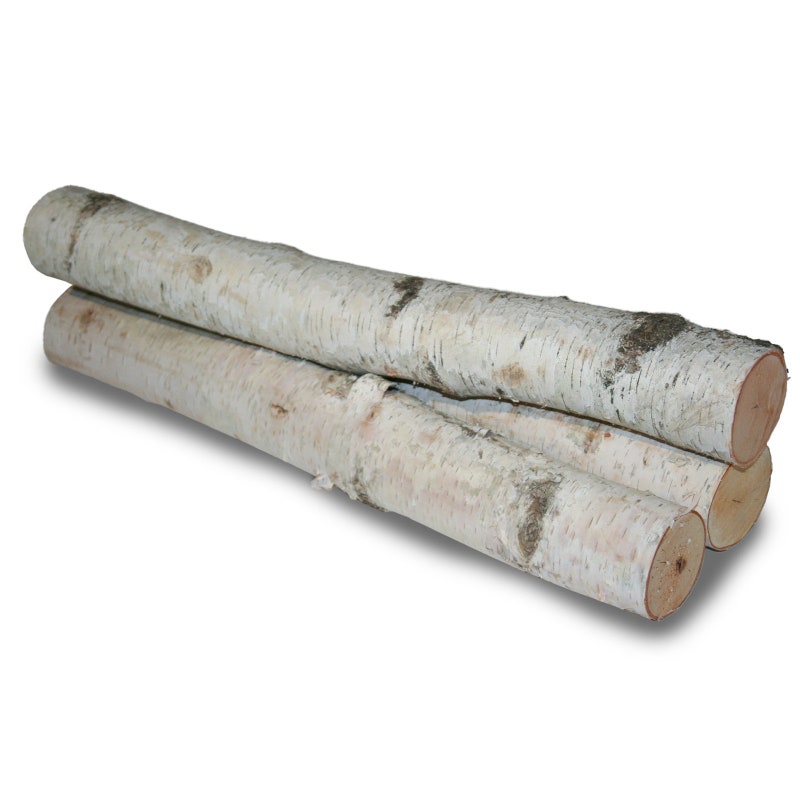 White Birch Logs - Etsy