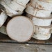 Birch Rounds - Etsy