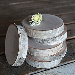Birch Rounds- Thick - Etsy