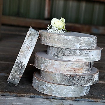 Birch Rounds- Thick - Etsy