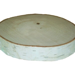 Birch Rounds- Thick - Etsy