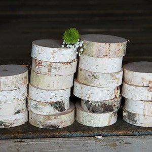 Birch Rounds - Etsy