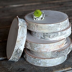 Birch Rounds- Thick - Etsy