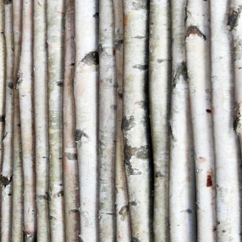 Birch Poles Decor - Etsy