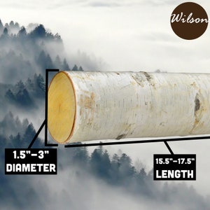 Wilson Decorative White Birch Log Bundle, Natural Bark Wood Home Décor ...