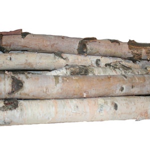Wilson Decorative White Birch Log Bundle, Natural Bark Wood Home Décor ...