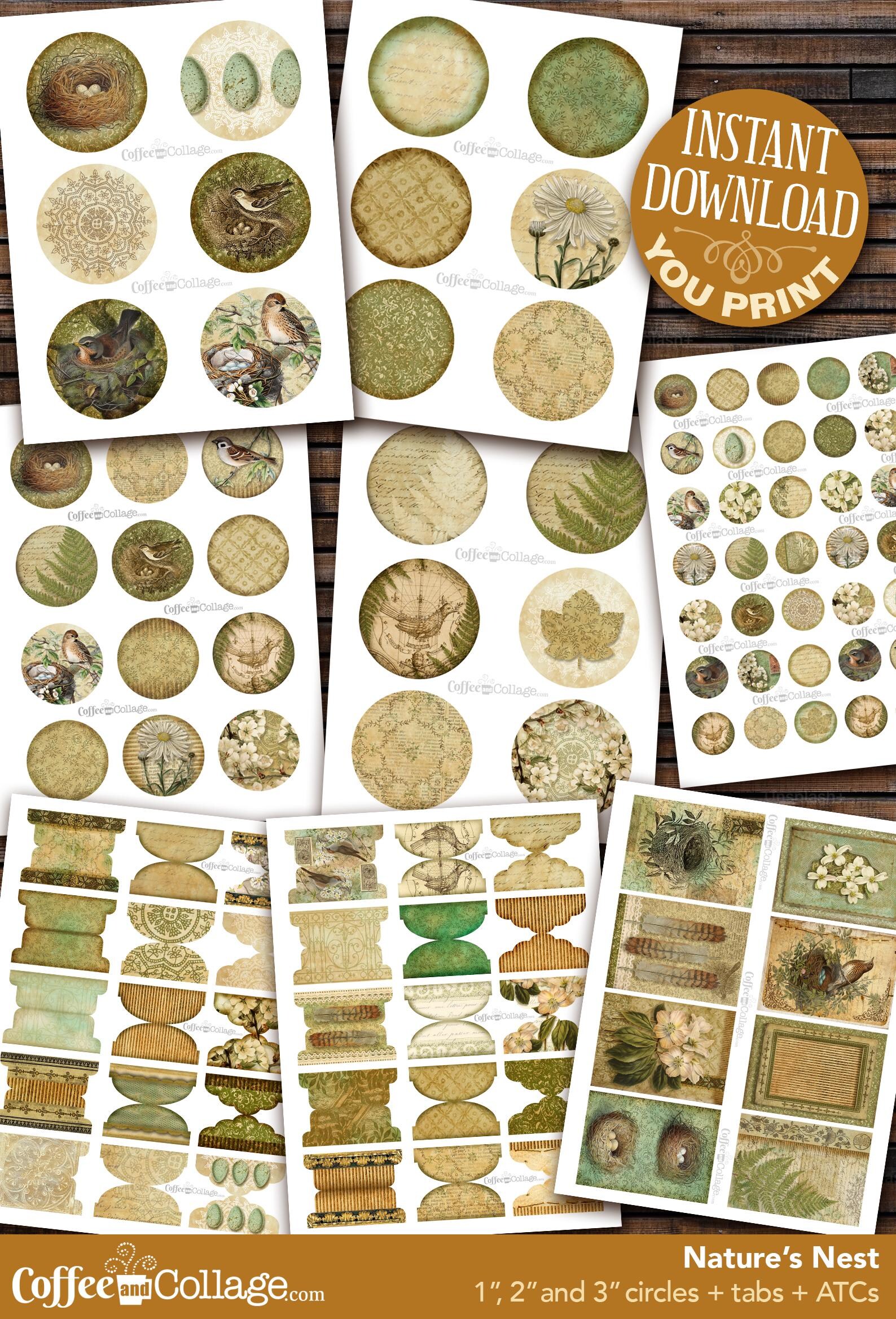 Bird Nest Junk Journal Scrap Pack – Digital Download | Antique Floral ...