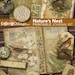 Bird Nest Junk Journal Scrap Pack – Digital Download | Antique Floral ...