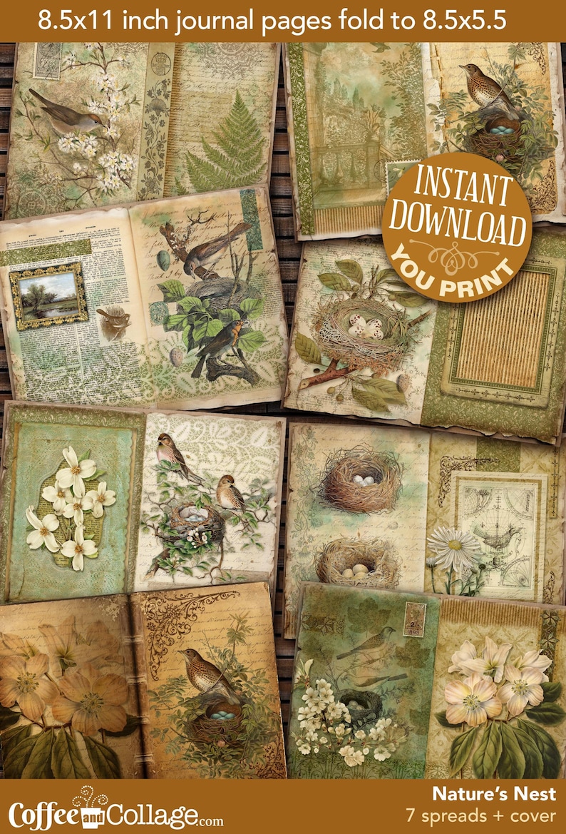 Bird Nest Junk Journal Scrap Pack – Digital Download | Antique Floral ...