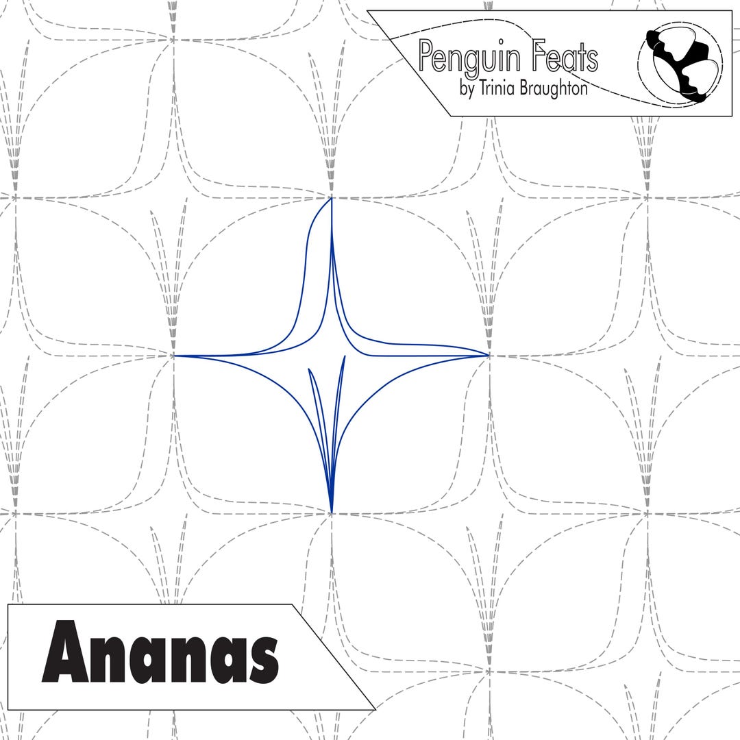 ANANAS Digital Quilting Pantograph: Modern Texture Longarm E2E Quilt ...