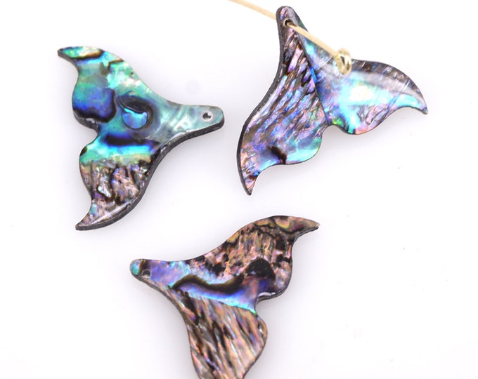 10PC Abalone Tail Bead, Abalone Shell Mermaid Tail Beads, Shells ...