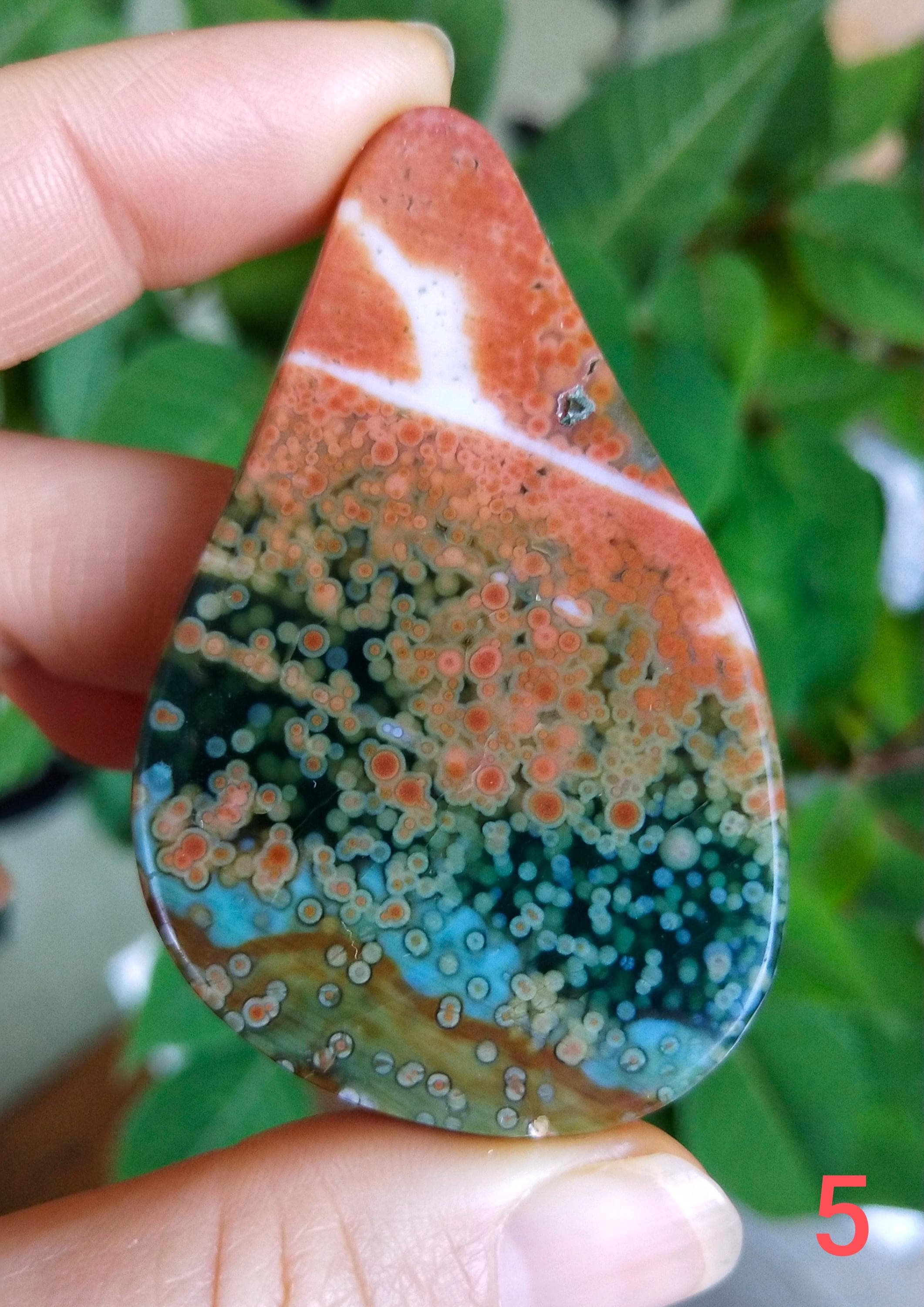 Rare Color High-grade Ocean Jasper Old Stock Cab, Polished, Specimen #5 ...
